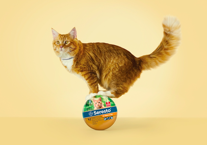 ELANCO makes it fleasy-peasy for dogs and cats in new integrated ...